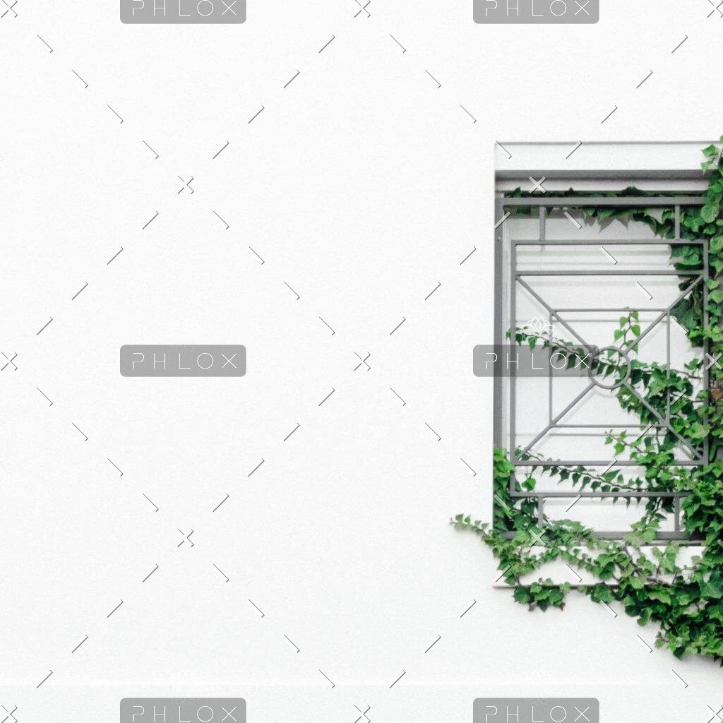 CATAPULT VITAMIN - KMT Solution